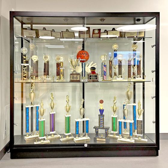 Large Economy Trophy Display Case with LED Lights Subastral